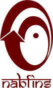 Staff - Login - Nabfins